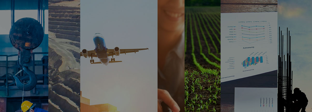 Our Industry Experience - Engaged Business Turnaround